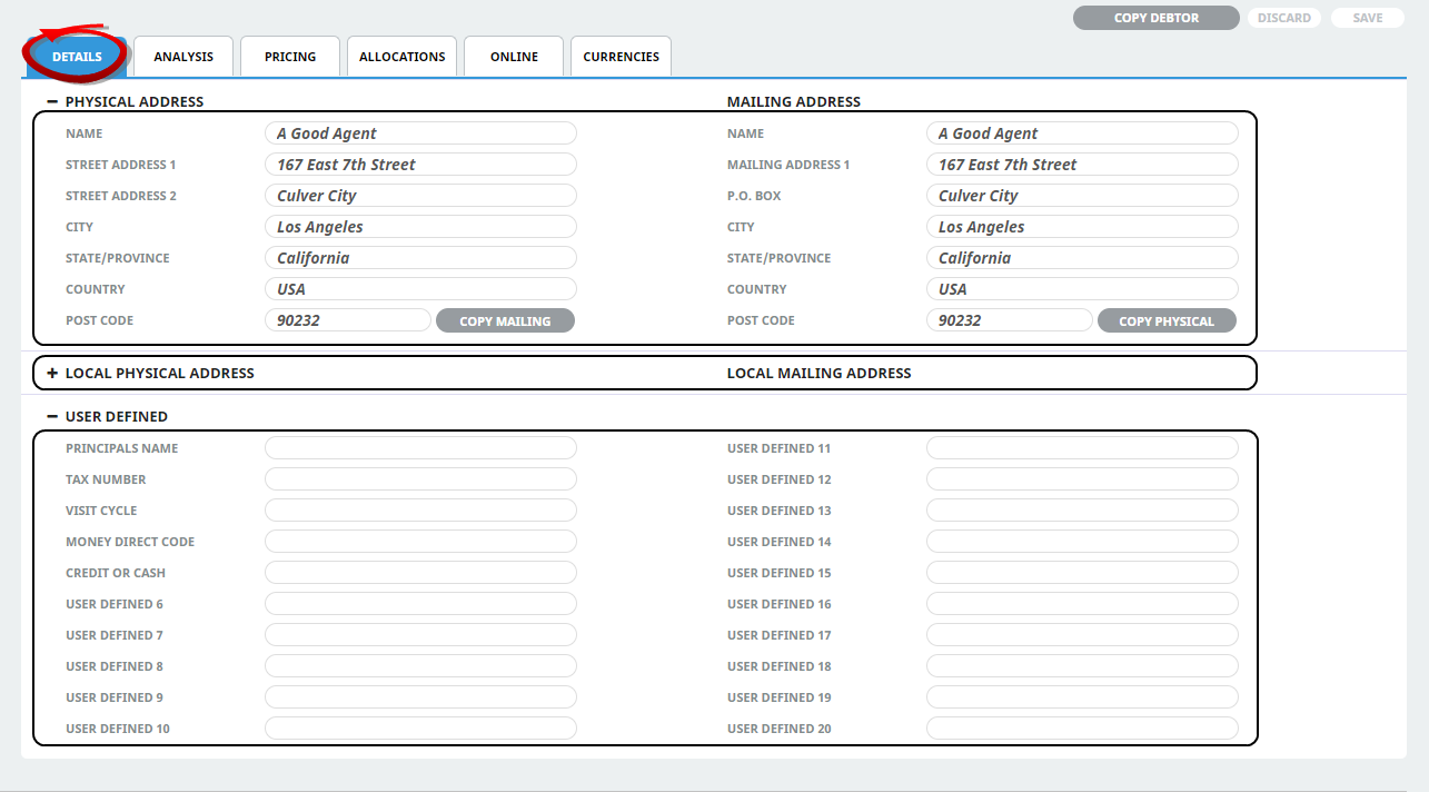 Debtors Details Tab